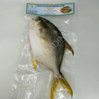 M.T. Trading - #1 source for Asian foods